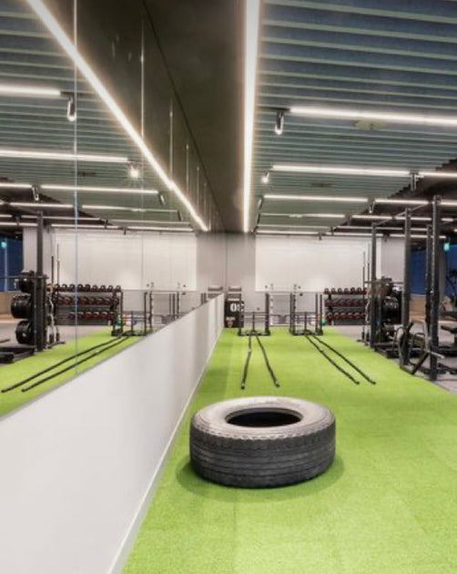 Maximizing Athletic Performance Through Nervous System Optimization T